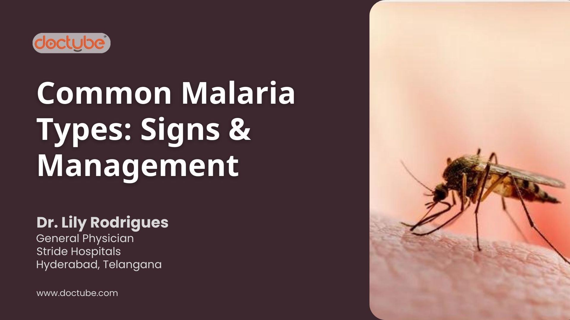 Common Malaria Types: Signs & Management