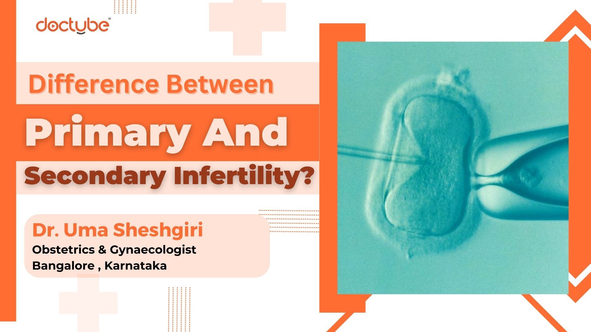what-is-the-difference-between-primary-and-secondary-infertility
